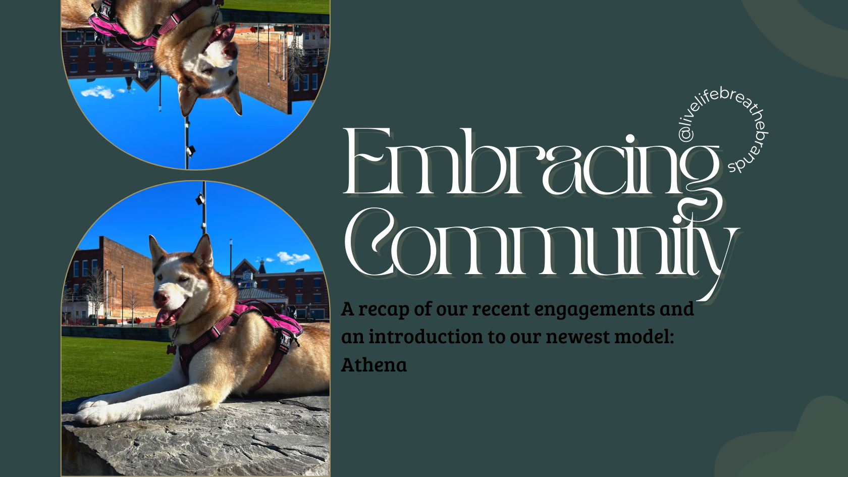 Embracing Community: Our Journey at Live Life Breathe – Live Life ...